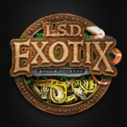 L S D Exotix